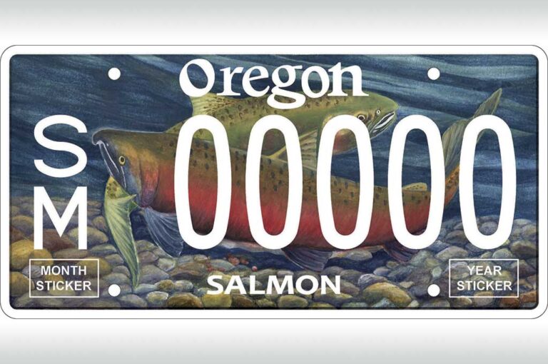 Oregon’s classic salmon license plate gets a new look - Tigard Life