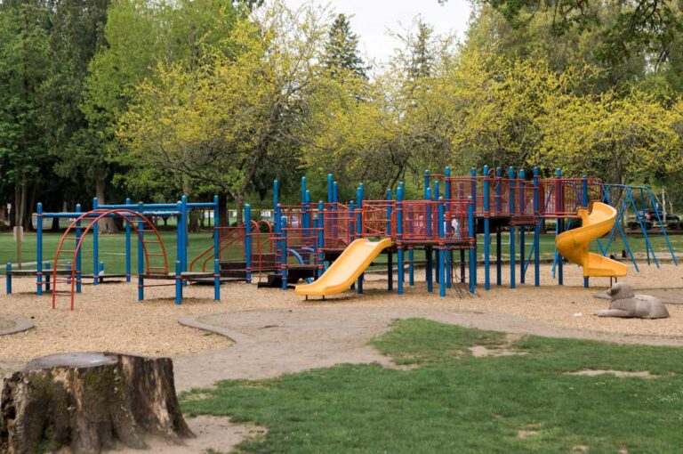 Design Day Coming to Cook Park: Help Design the New Playground - Tigard ...
