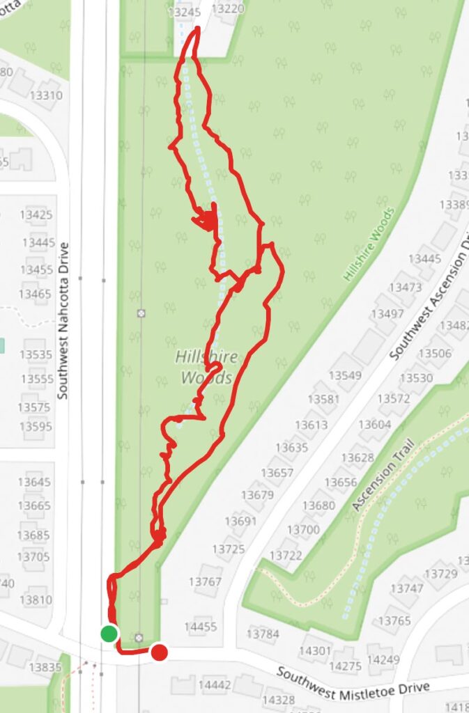 Weber’s Canyon Opens Hidden Delights for Neighborhood Hikers - Tigard Life