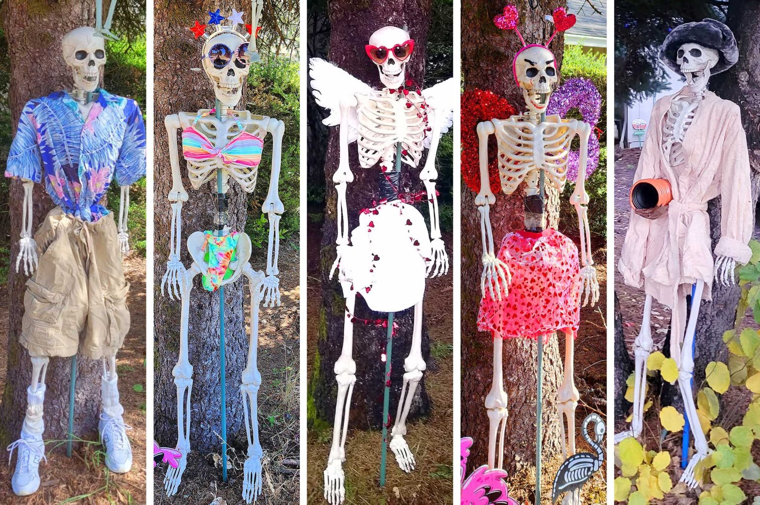 Meet the Woman Behind the Walnut Street Skeletons - Tigard Life